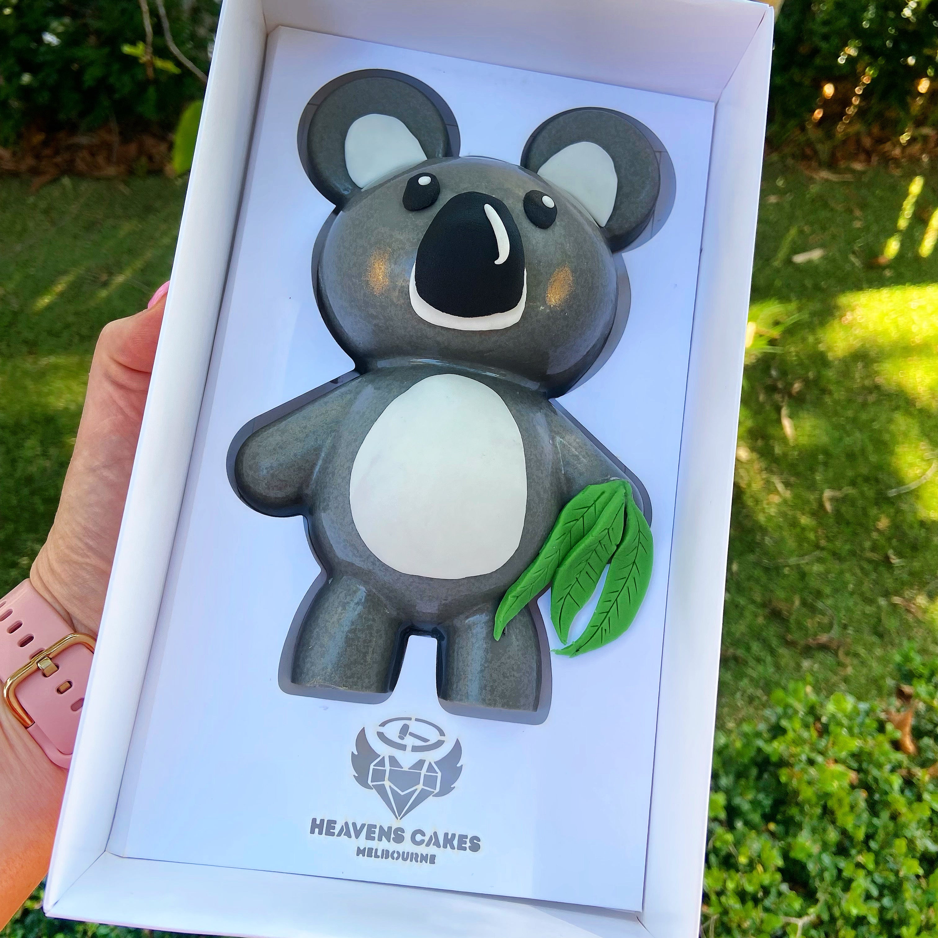 Koala Smash Bear – Smash Cake Central